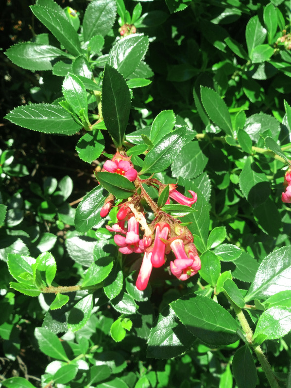 WP5000 OPEN 03 — Postimages