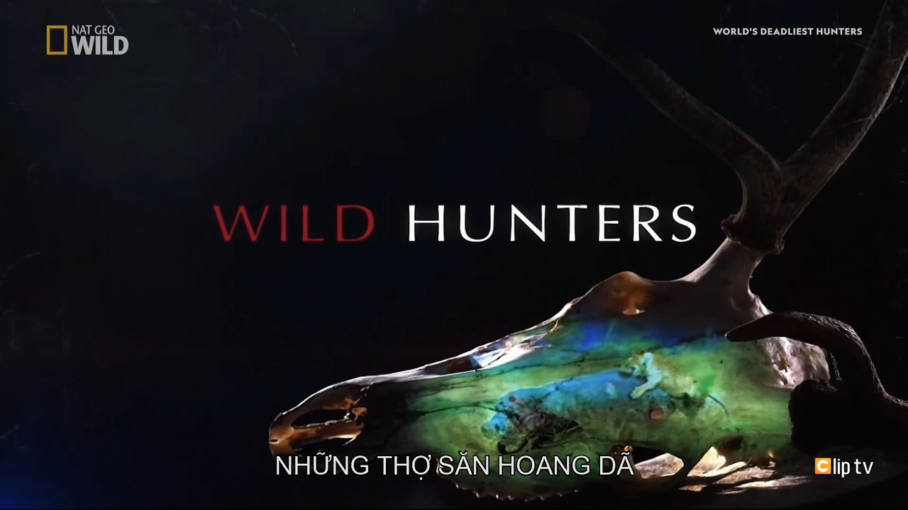 Wild Hunters Spiders And Scorpions 1080p HDTV AAC 2 0 x264 HDVN mp4 ...