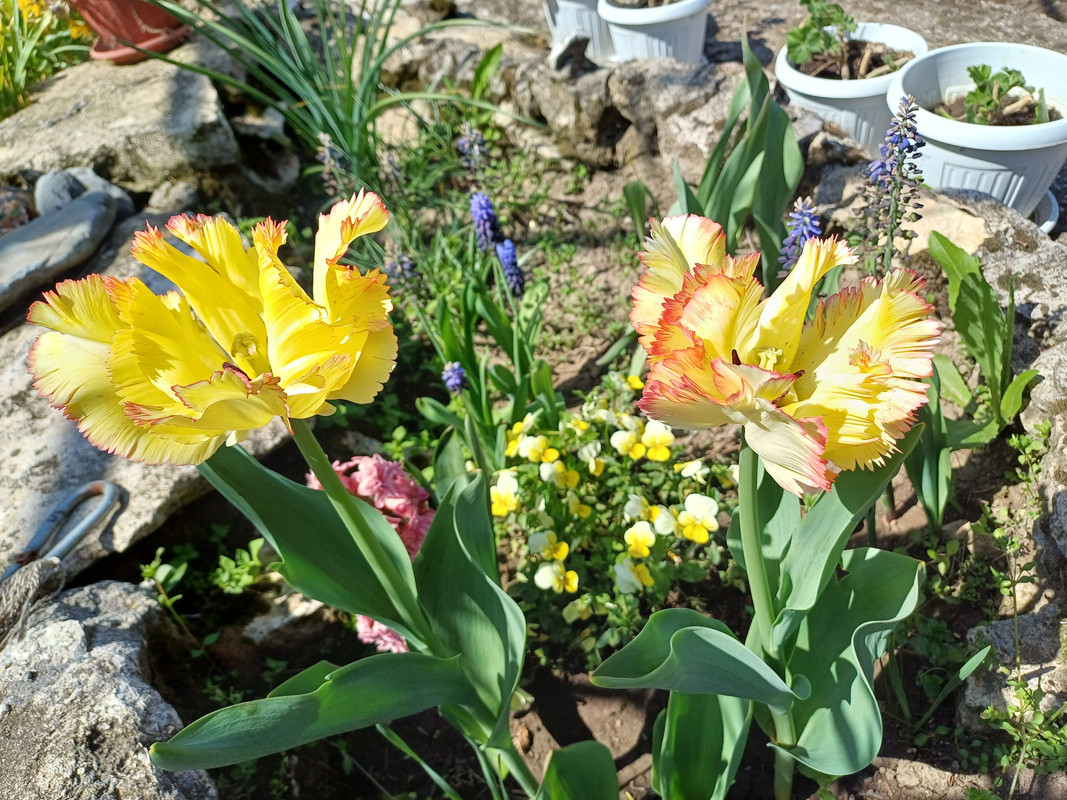 20240412 122713 — Postimages