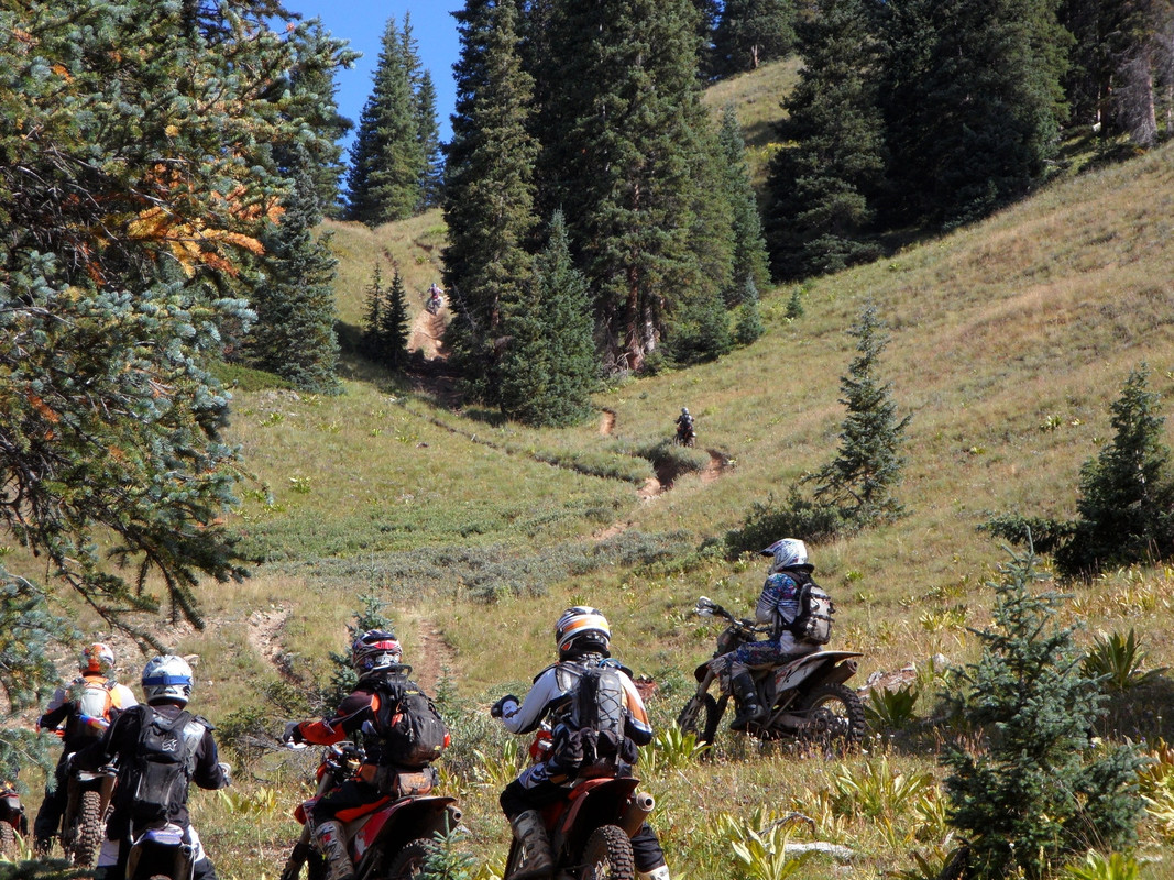 PICTURES - THUMPERS | Adventure Rider