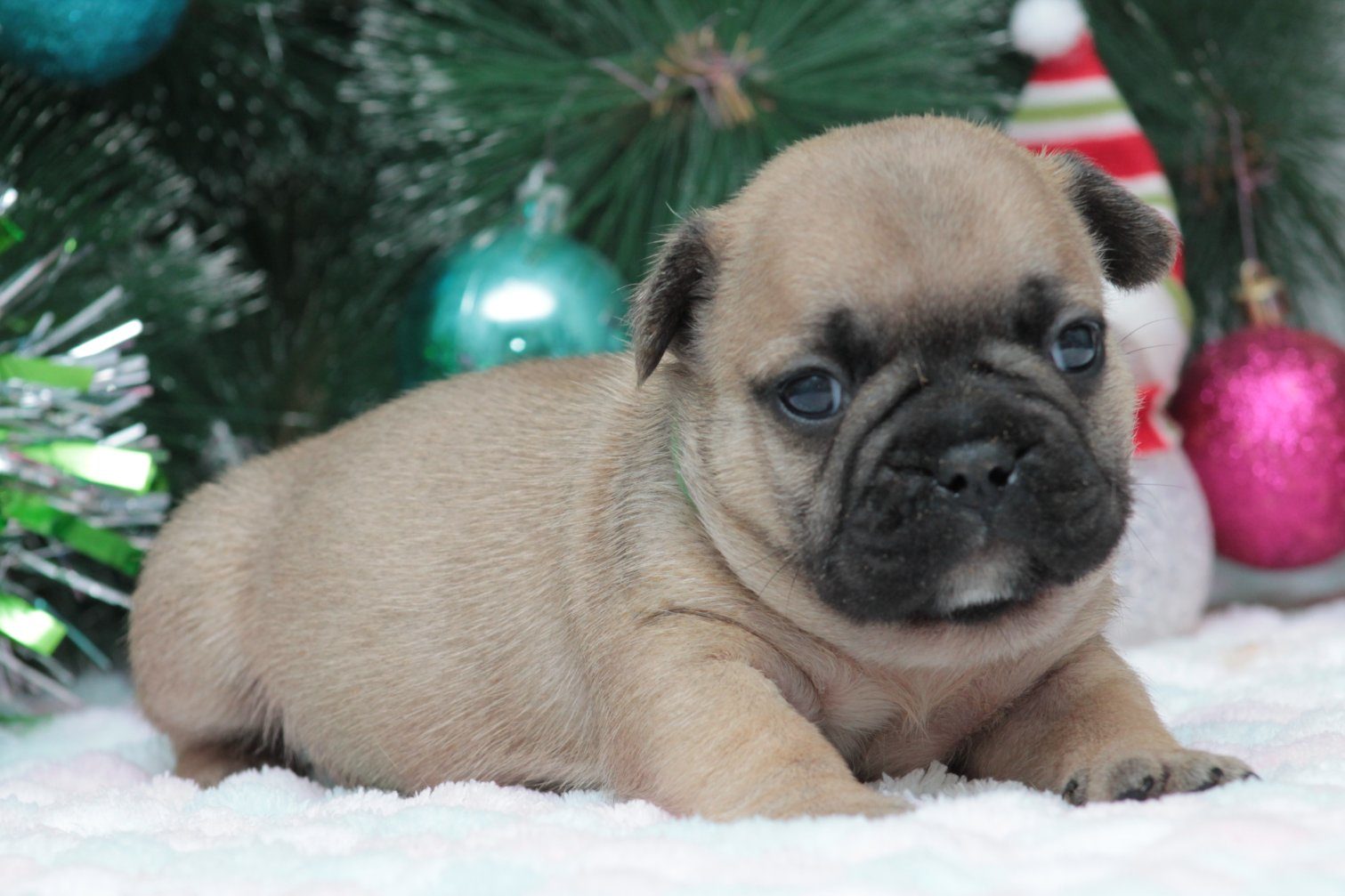 i (18) — Postimages