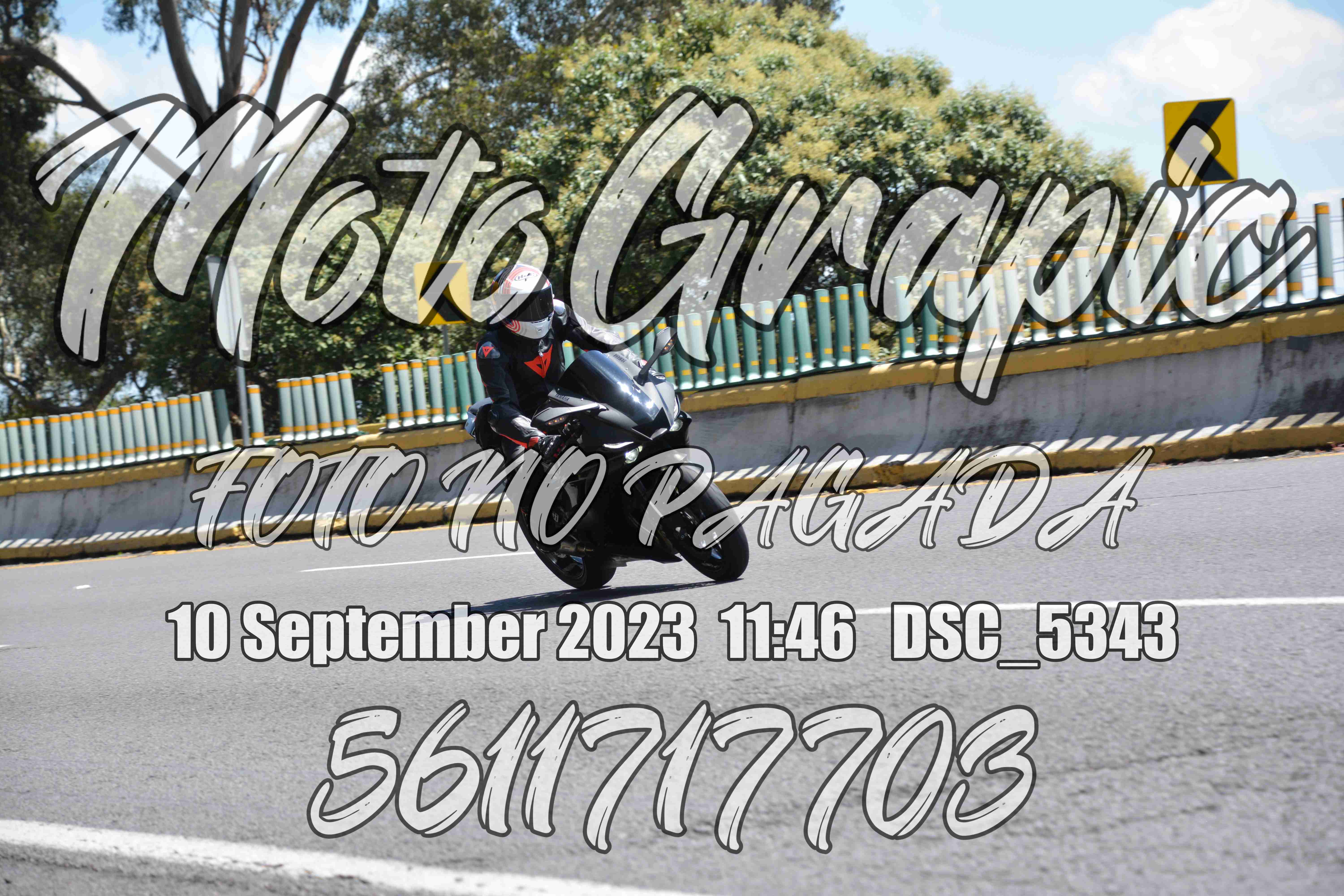 motgr DSC 5343 — Postimages