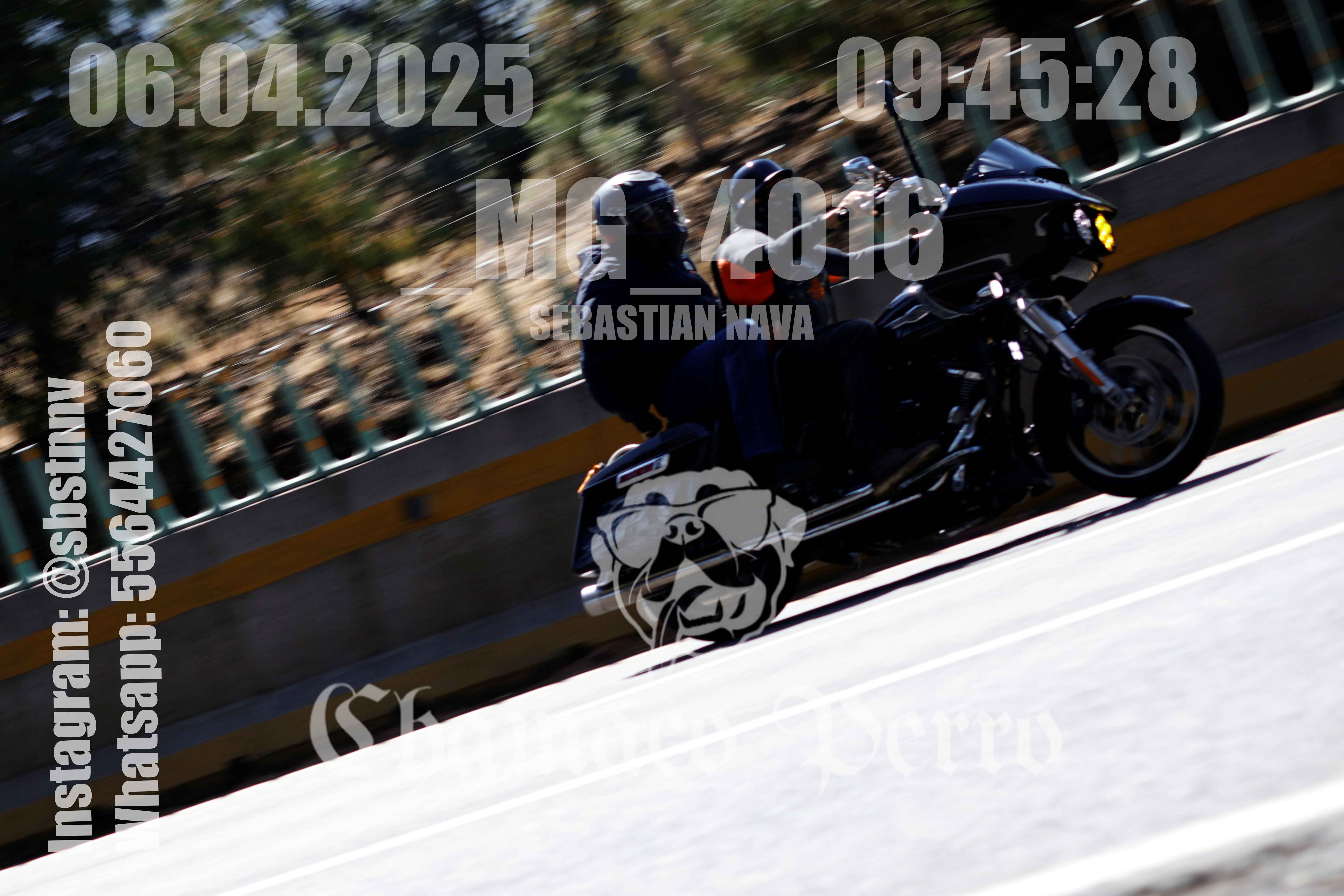 MG 4016 — Postimages