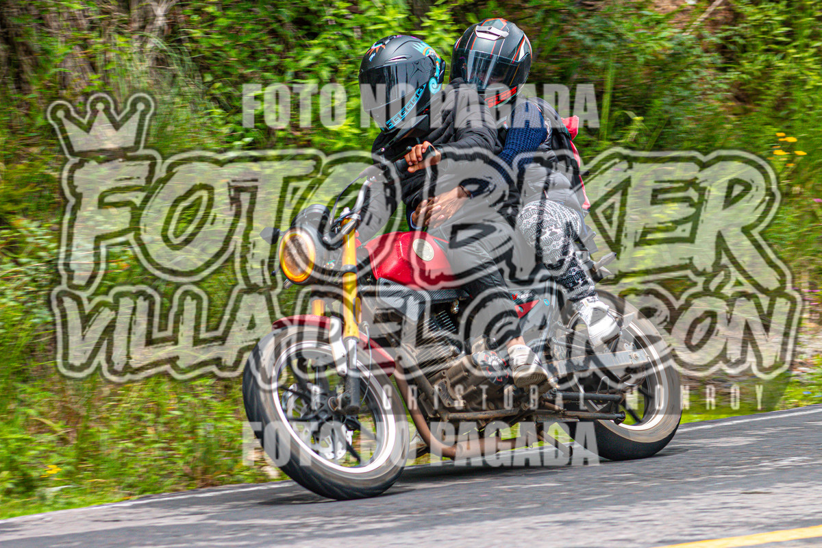 C1P2 12 — Postimages