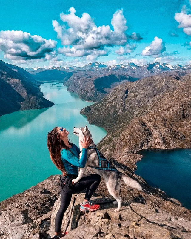 legins w a view elodie fit training — Postimages