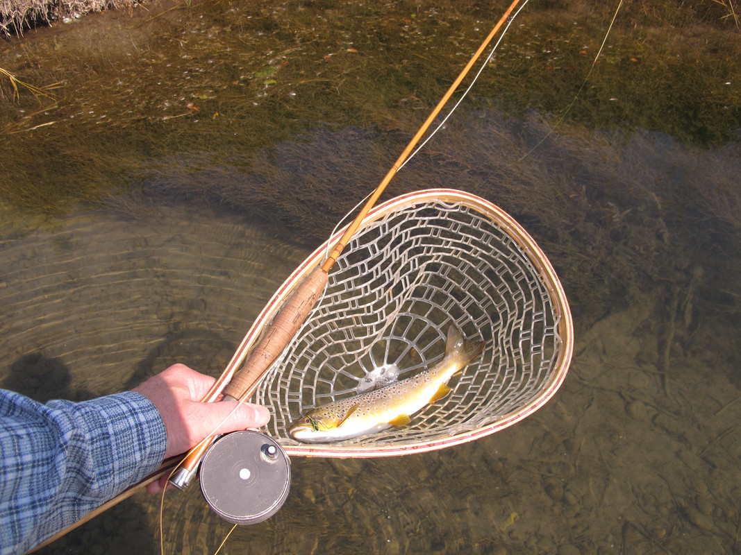 IMG 1580 — Postimages