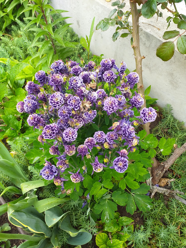 20230503 145324 — Postimages