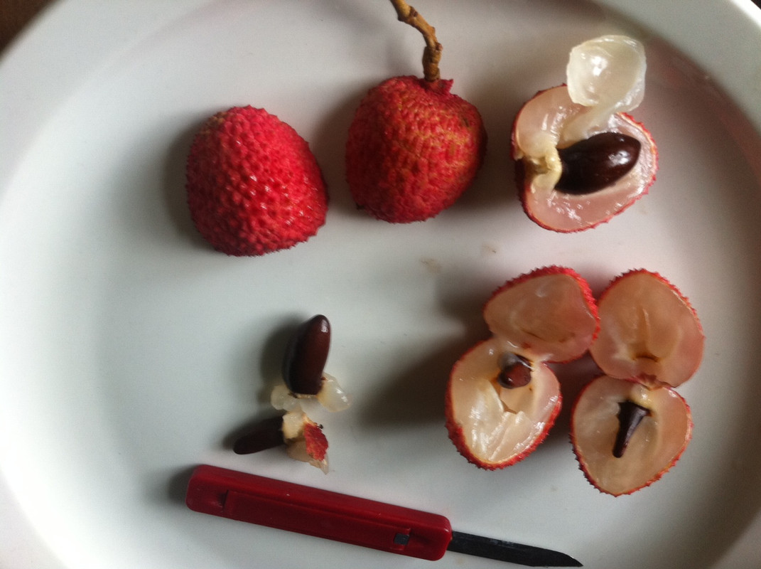 lychee4 — Postimages