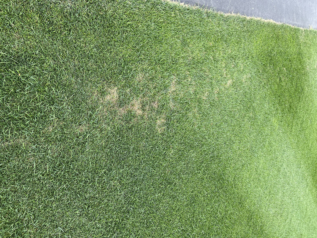 Wed C — Postimages