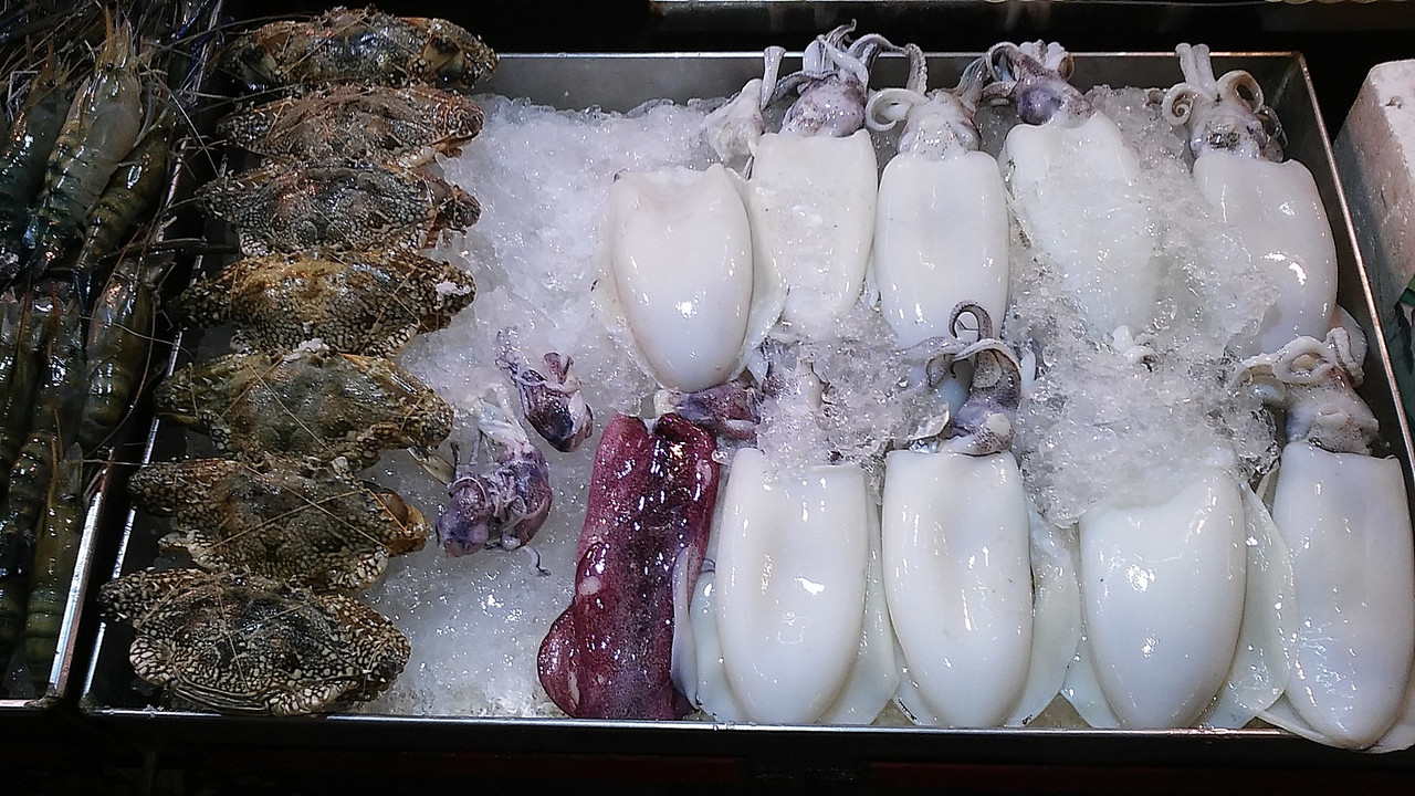 kalmary — Postimages