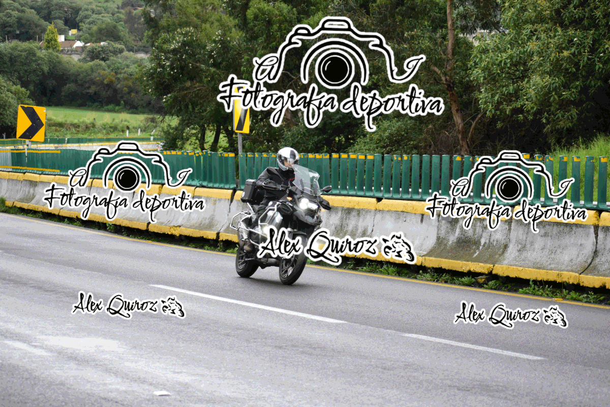 AVQ 6341 — Postimages