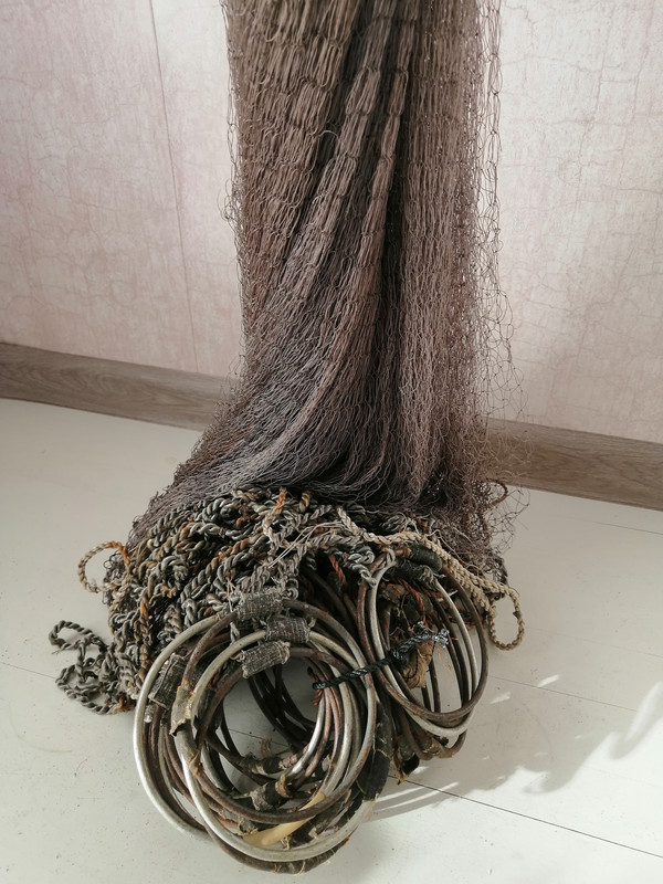 IMG 20240625 191205 — Postimages