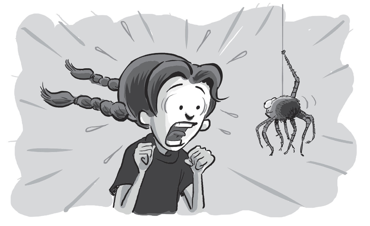 Stink #12: Stink and the Hairy, Scary Spider – Megan McDonald ...