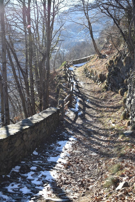 DSC 0479 — Postimages