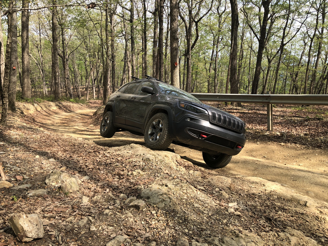 IMG 3875[1] — Postimages