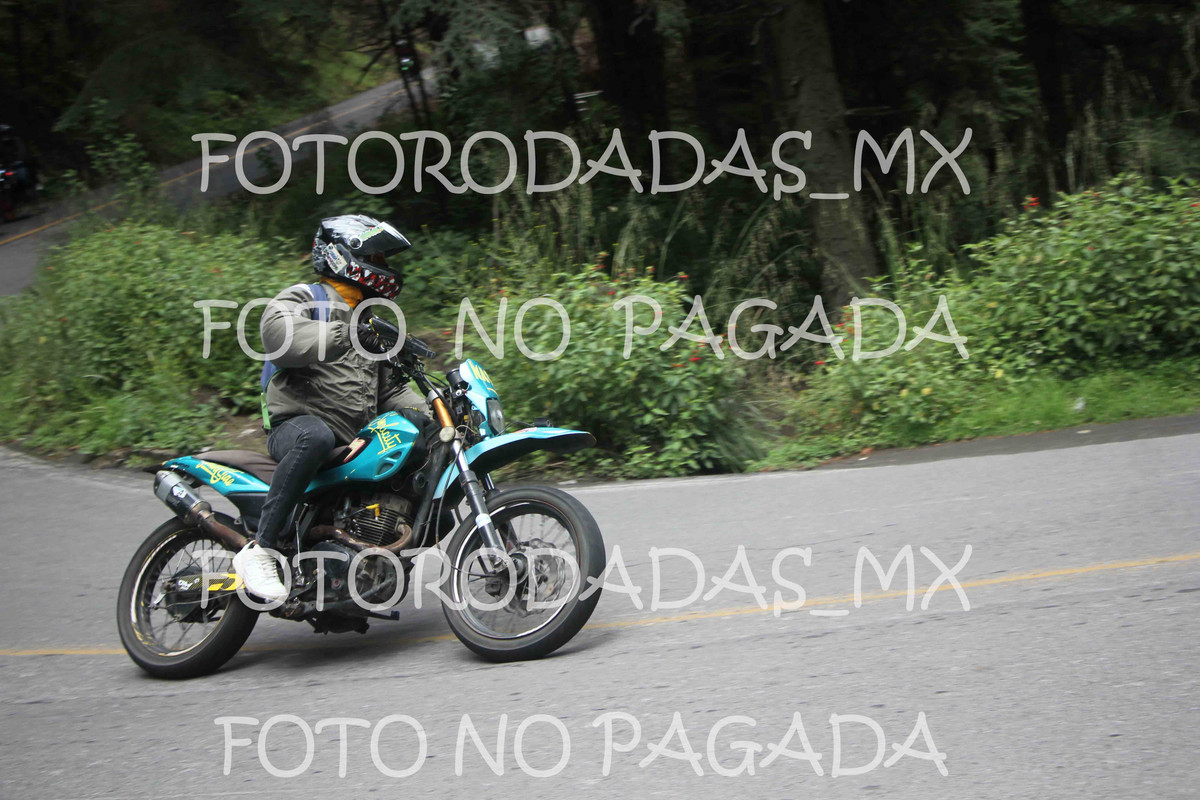 IMG 6010 — Postimages