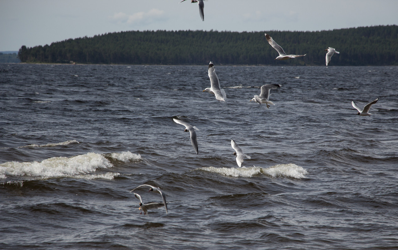 IMG 4544 — Postimages