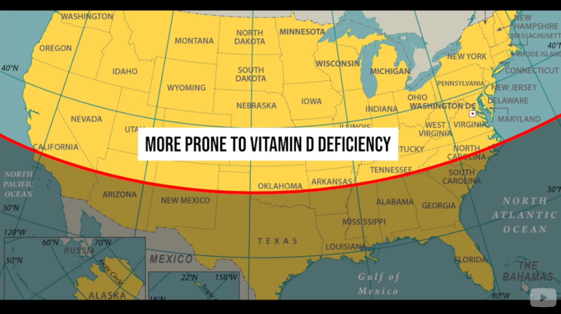 Vit. D - 24hourcampfire