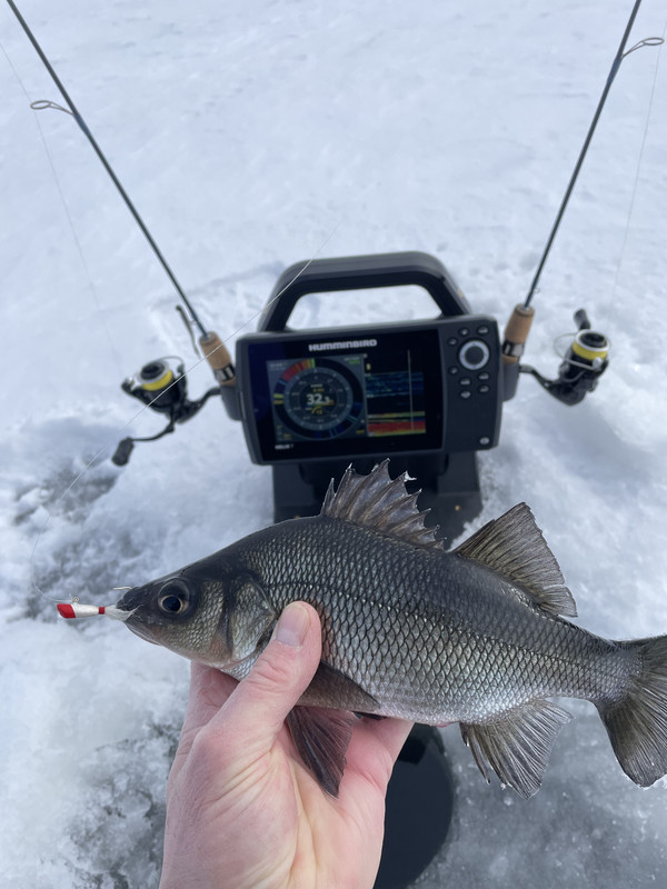 IMG 9002 — Postimages