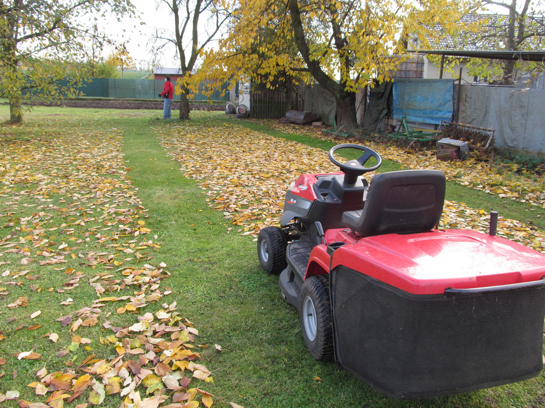 IMG 8234 — Postimages