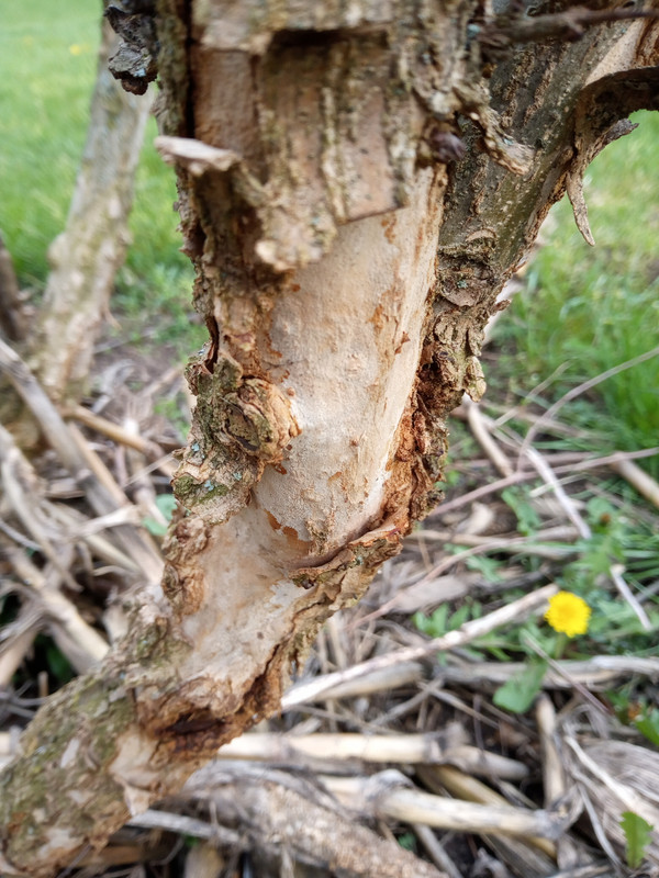 IMG 20230417 171903 264 — Postimages