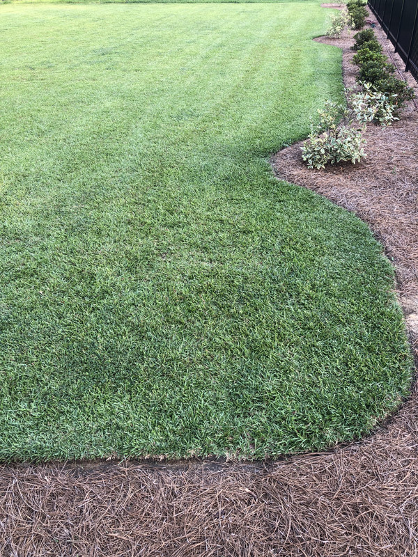 8 A8350 C4 C992 4978 98 B8 A897278 AFD84 — Postimages