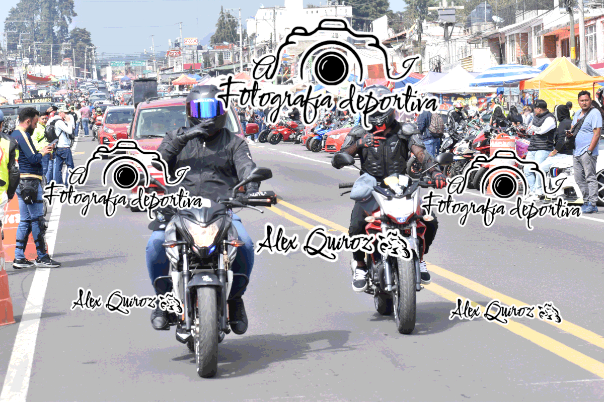 DSC 1916 — Postimages