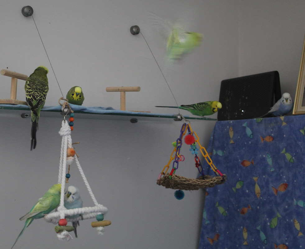 20231117143116 IMG 1864 — Postimages