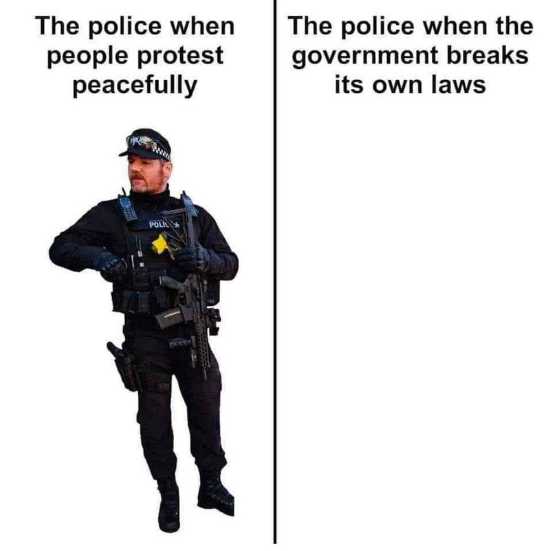 Polly ticks. | Page 2 | Out Of Town Forum