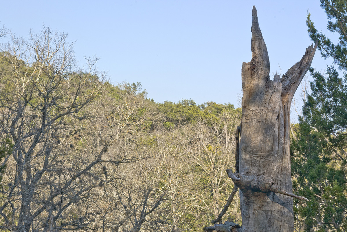 Post your own photographs thread | Page 261 | Steve Hoffman Music Forums