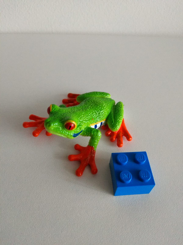 Wild and Farm animals 2020 from Mojo Fun!