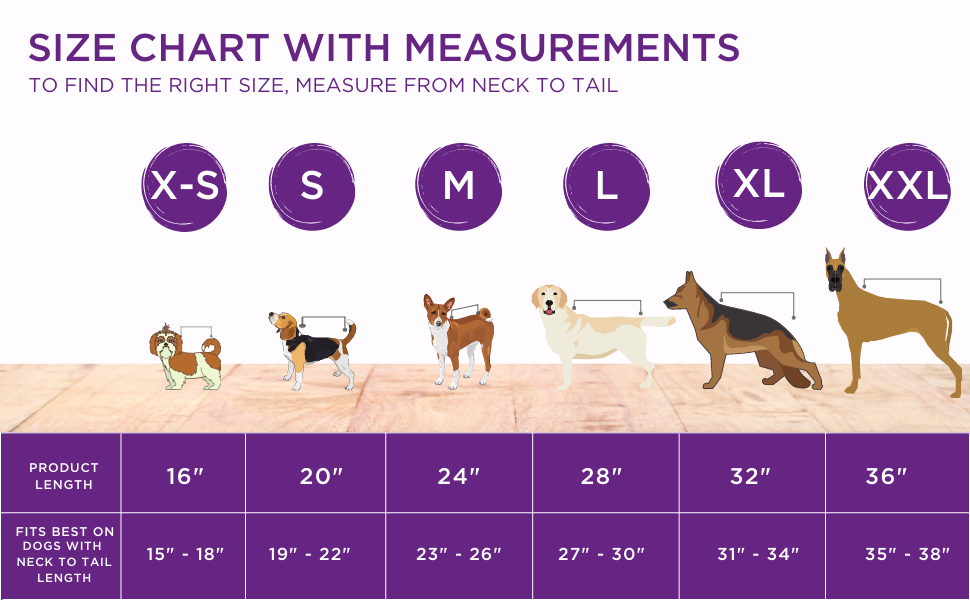 Get your pooch ready for the monsoons with their own rainwear! – PetWale