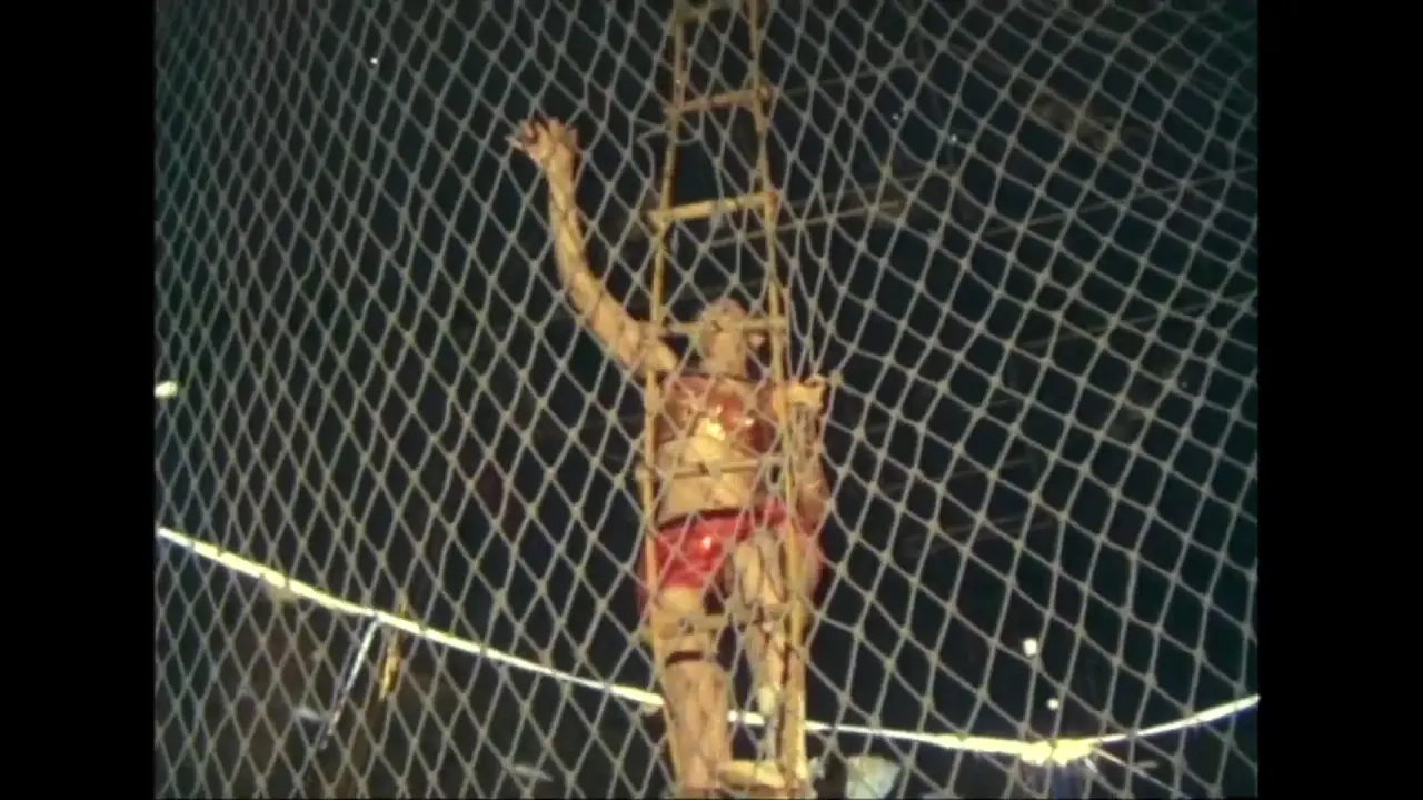 f 176 — Postimages