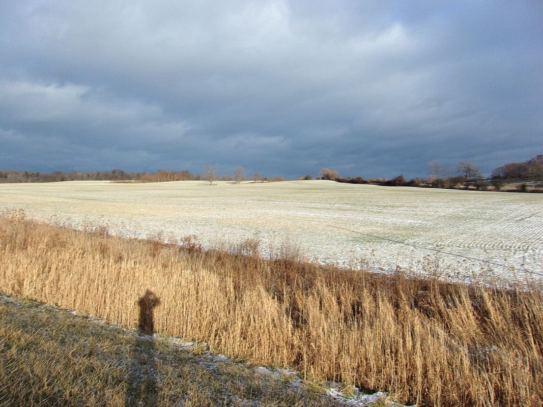 RunningAHEAD - Topic: Merry Christmas or Happy Christmas-Dec 2022