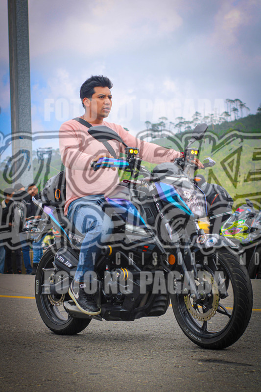 pal1s 1041 — Postimages