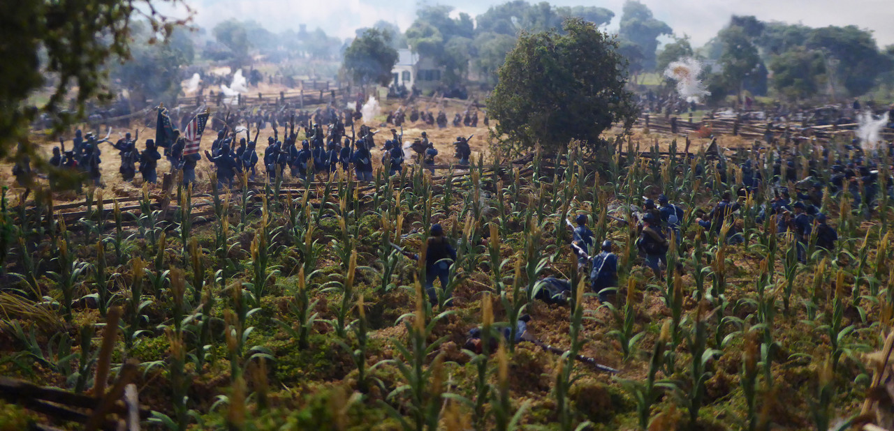 C95 E3661 4465 4 C7 D 9615 9 A66 EF8 C4 D8 C — Postimages