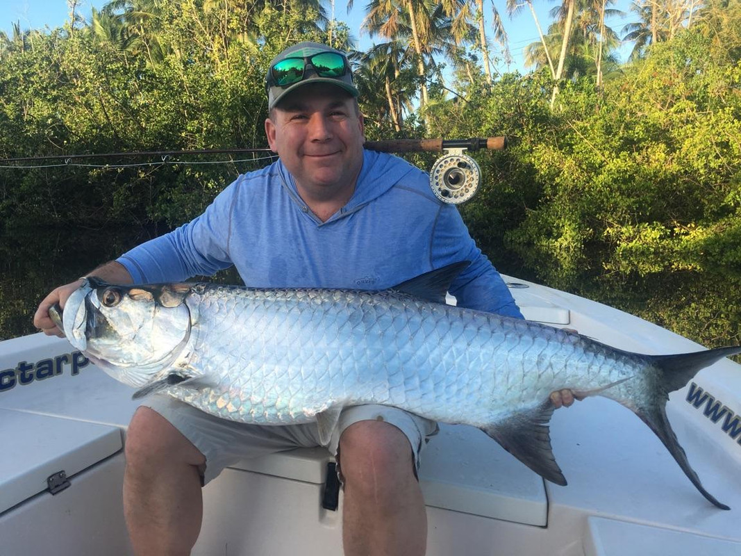 Tarpon — Postimages