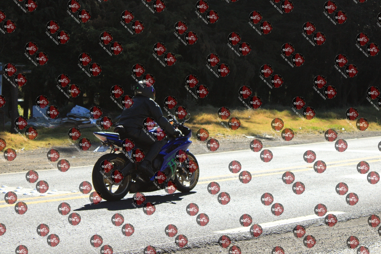 1704054176787 — Postimages