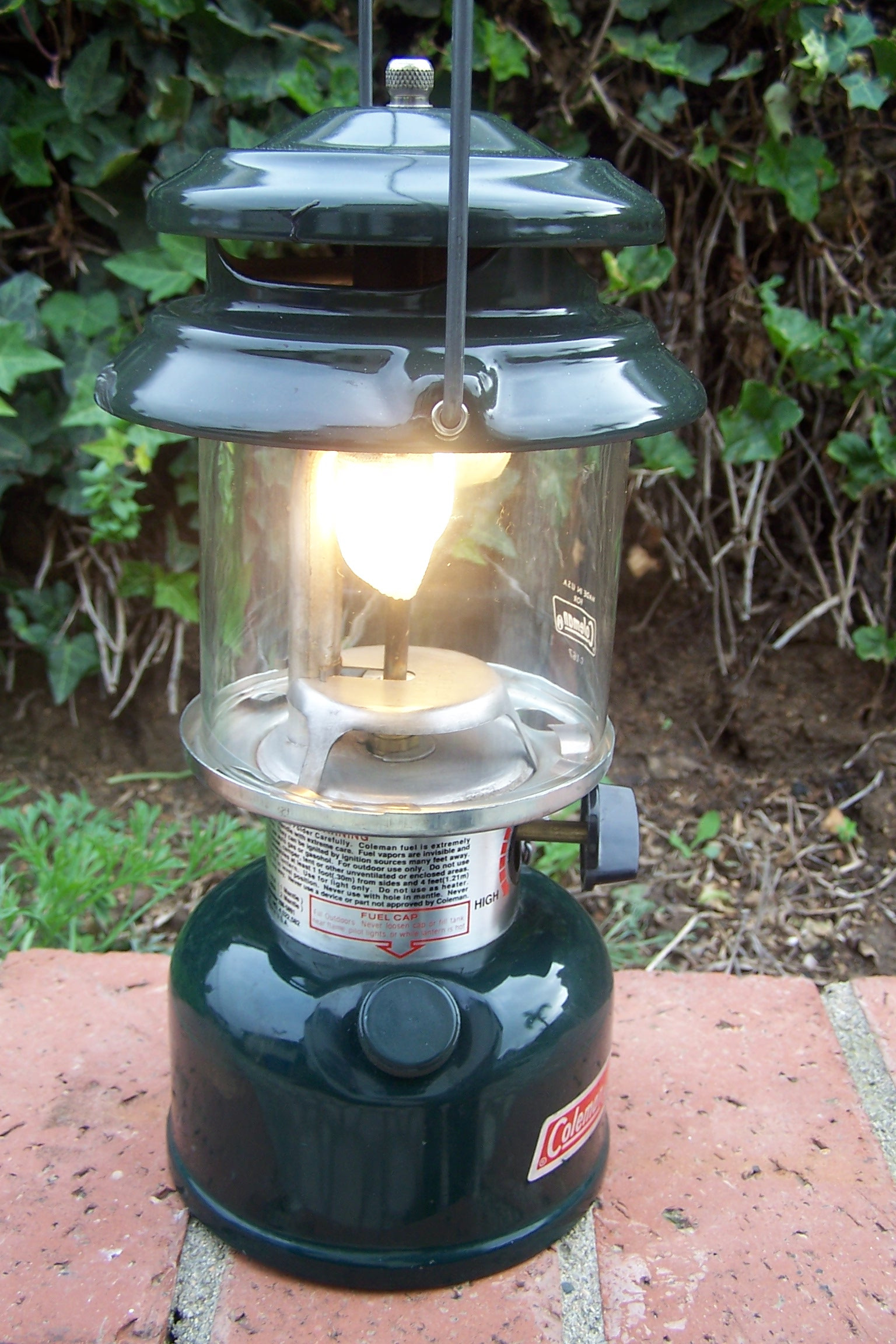 100 3100 — Postimages