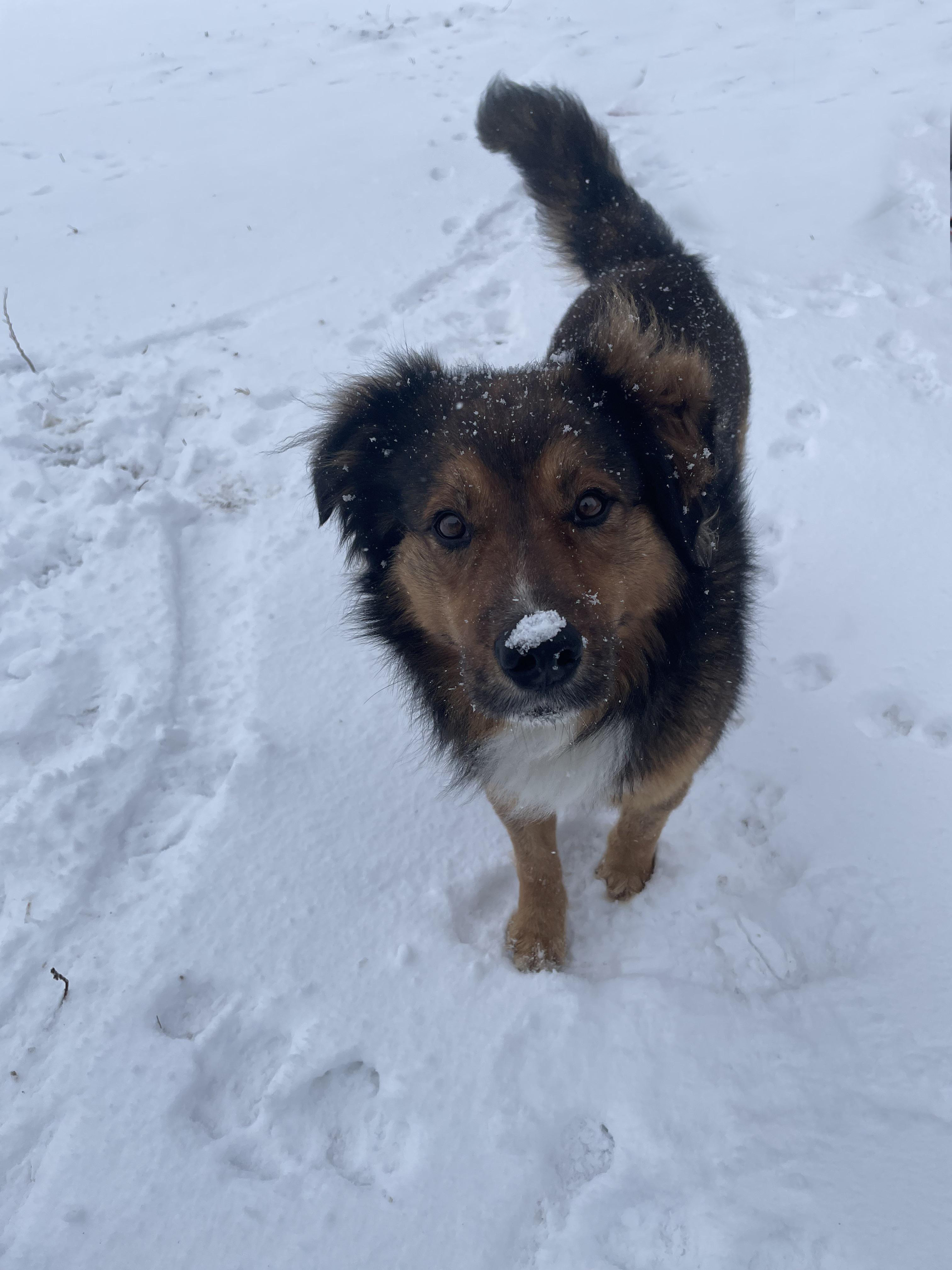 5dmgzevan8w91 copy — Postimages