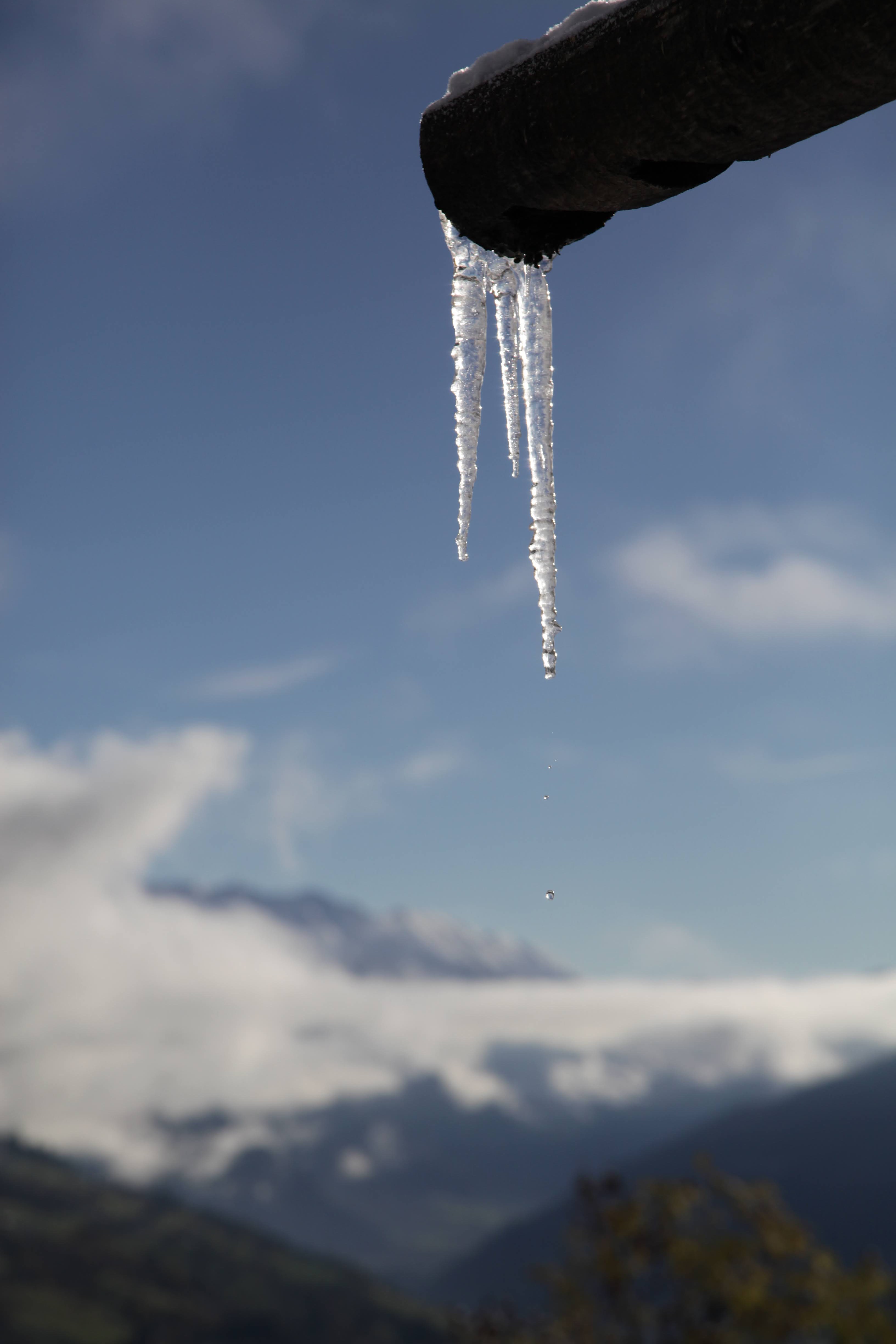 IMG 3210 Original — Postimages